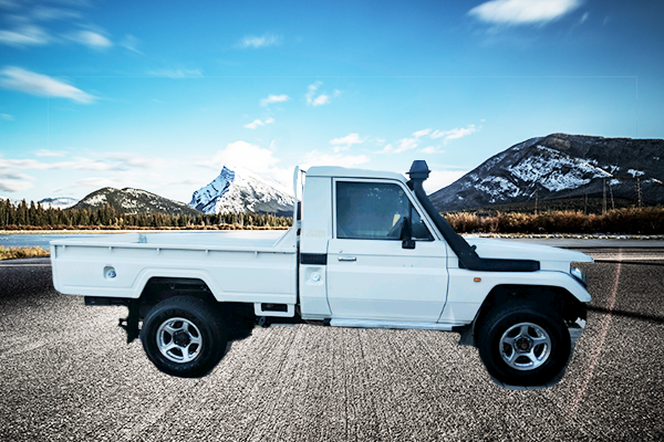 Landcruiser Single CAB Including Tailgate | Rhino Linings Malaga